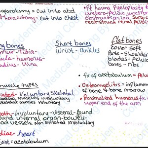 Musculoskeletal Section CPT Notes Medical Coding Certification Exam ...