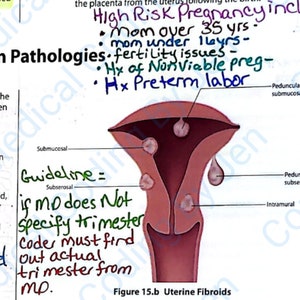 ICD10 Pregnancy Scenario Diagnosis Notes ICD-10-CM Pregnancy Section ...