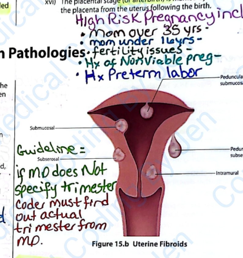 ICD10 Pregnancy Scenario Diagnosis Notes ICD-10-CM Pregnancy Section ...