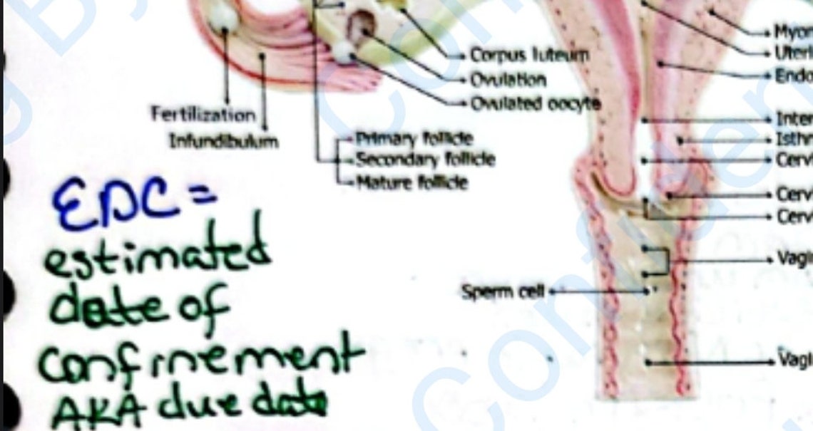 ICD10 Pregnancy Scenario Diagnosis Notes ICD-10-CM Pregnancy Section ...