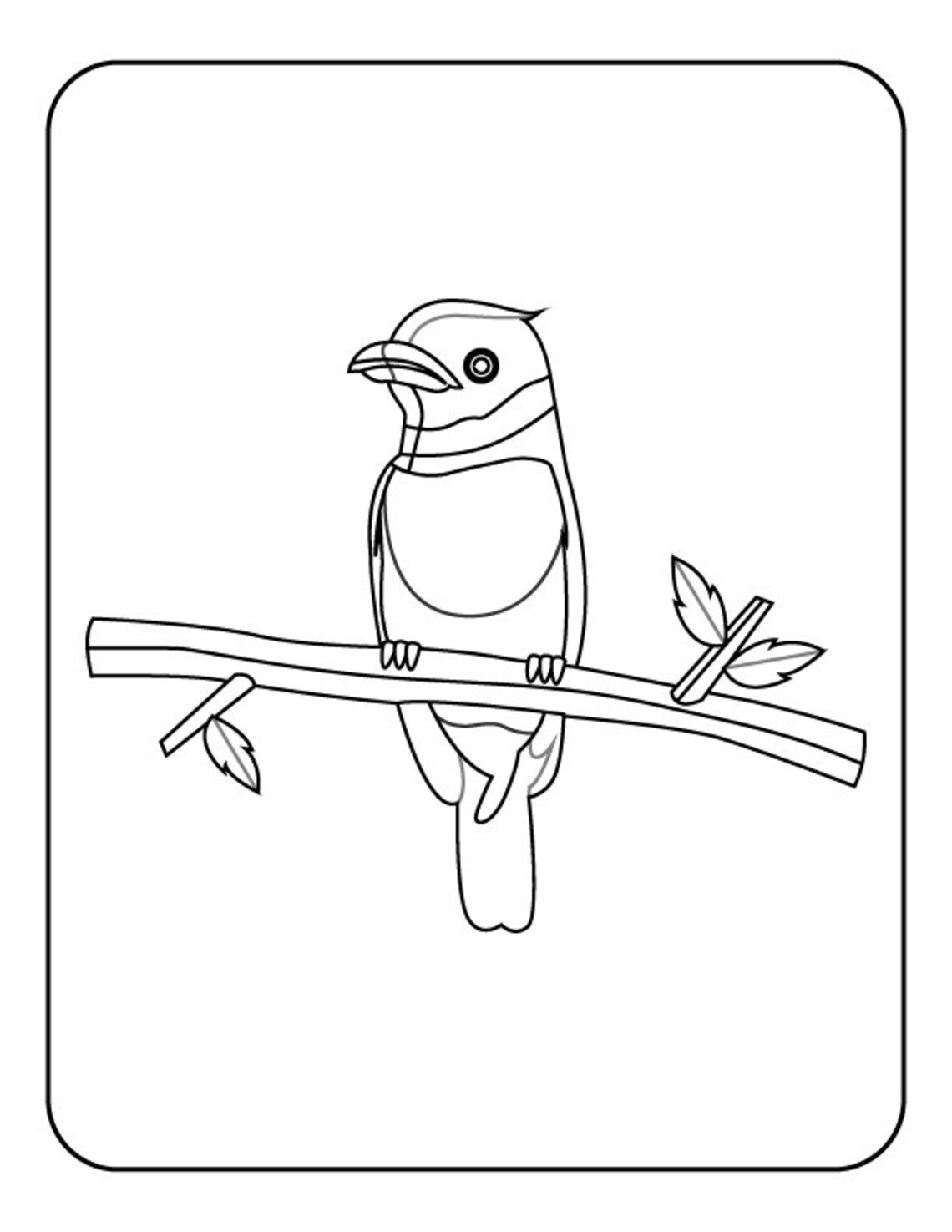 Kid's Coloring Pages 5 Unique Bird Coloring Pages - Etsy