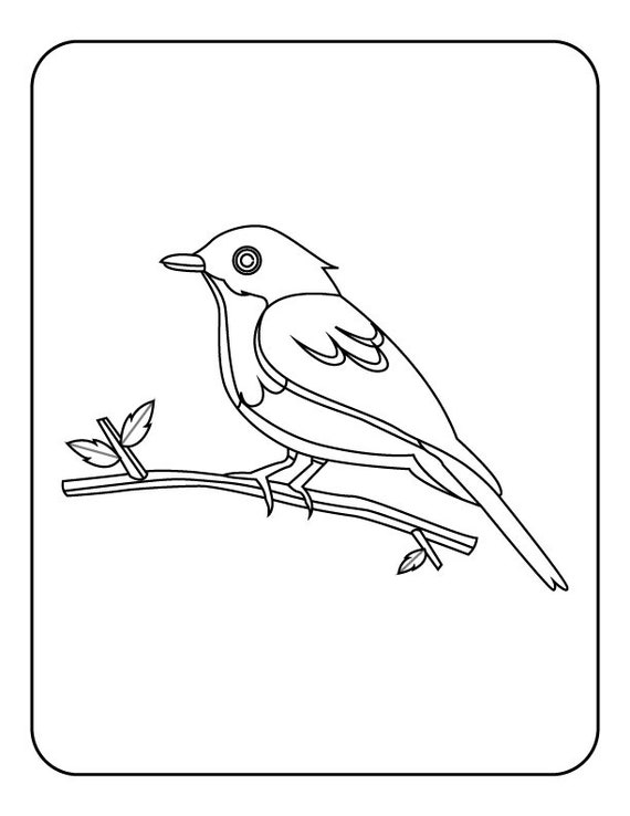 Kid's Coloring Pages 5 Unique Bird Coloring Pages - Etsy