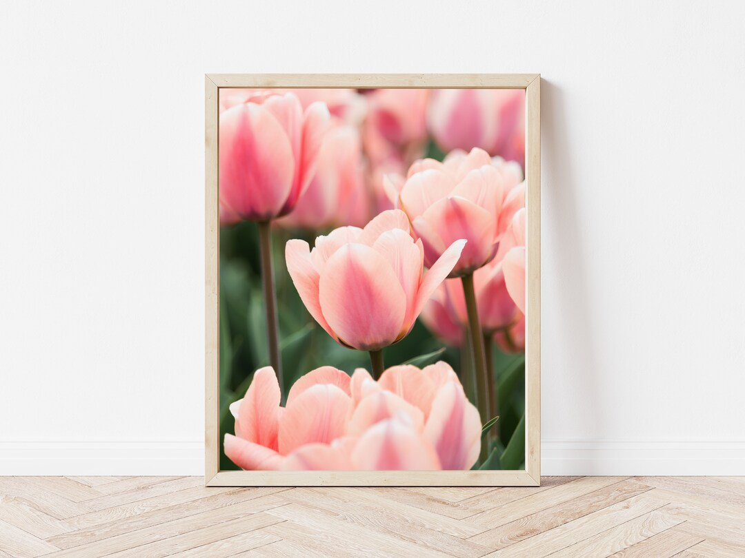Tulips Wall Art Tulip Printable Poster Pink Tulips Instant Download ...