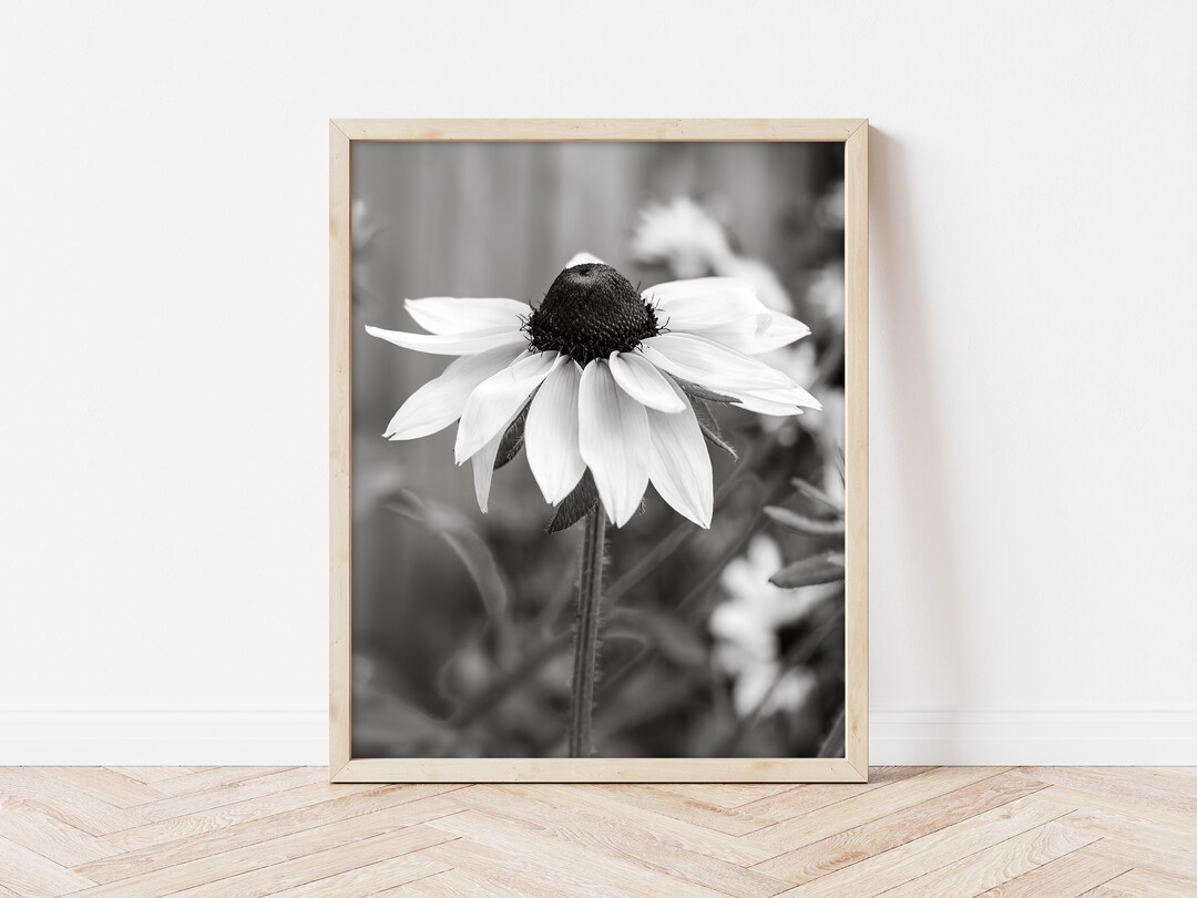 Black and White Floral Printable Poster Floral Wall Art Black and White ...
