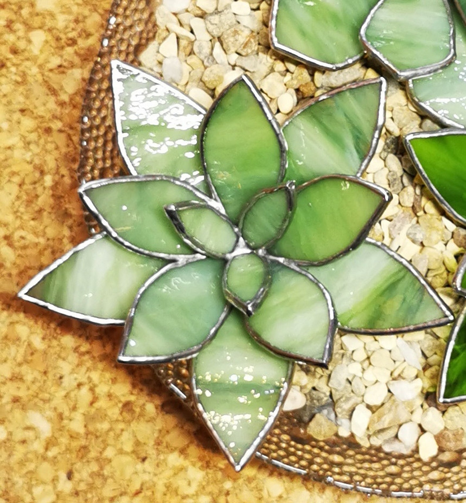 Stained Glass Succulent Waterless Plant Cactus Succulent - Etsy