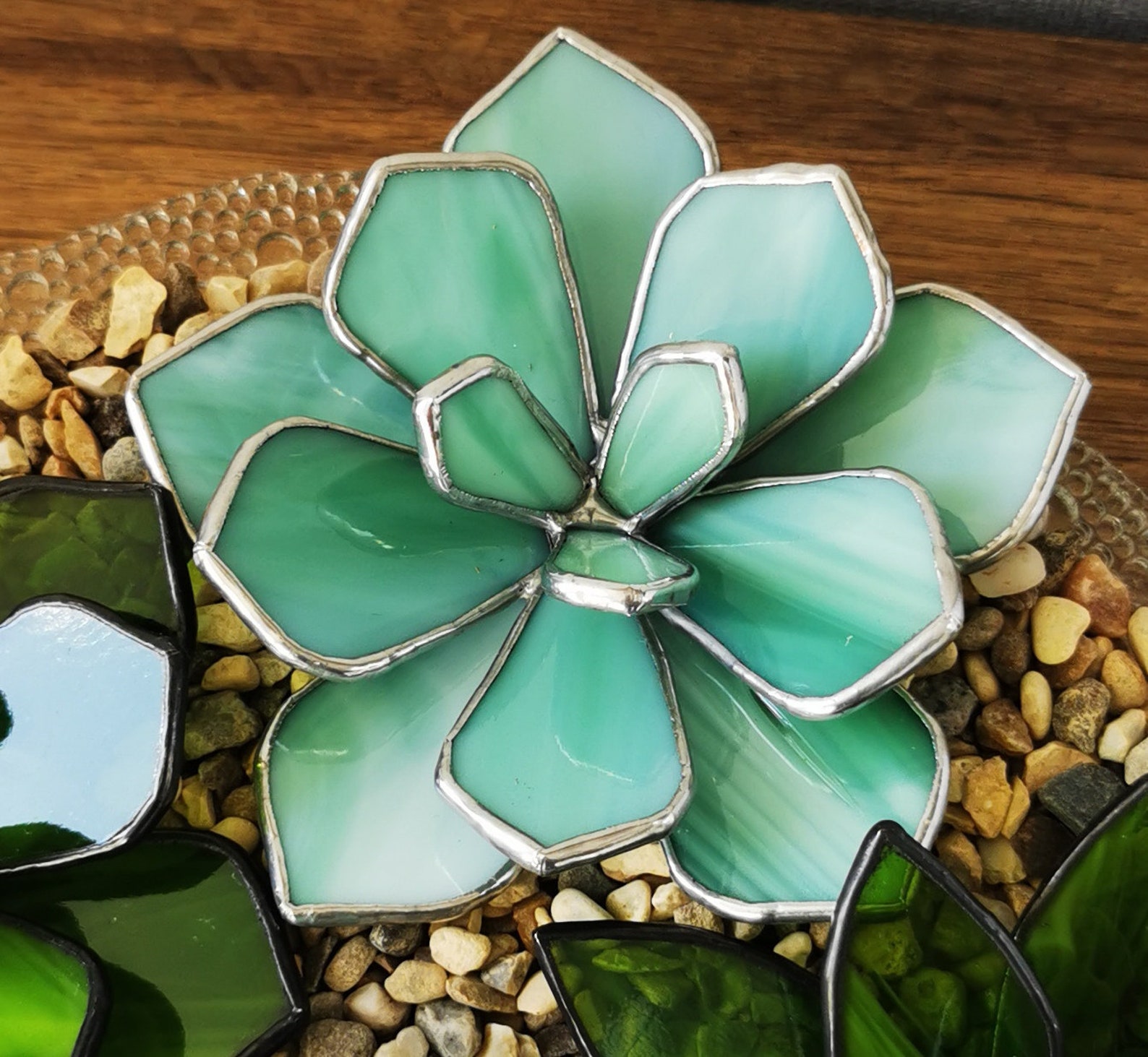 Stained Glass Succulent, Waterless Plant, Cactus, Succulent - Etsy