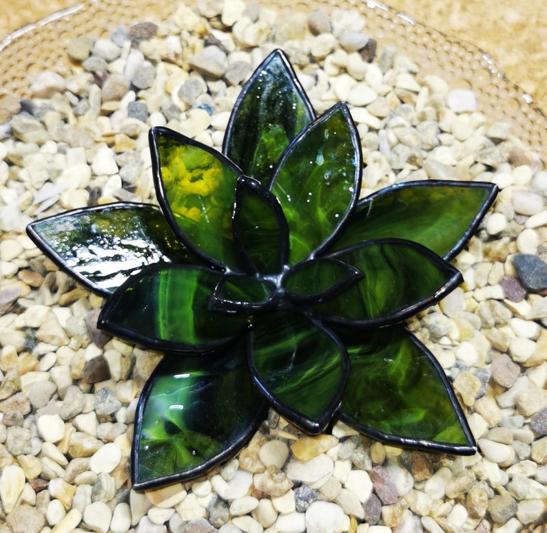 Stained Glass Succulent Waterless Plant Cactus Succulent - Etsy