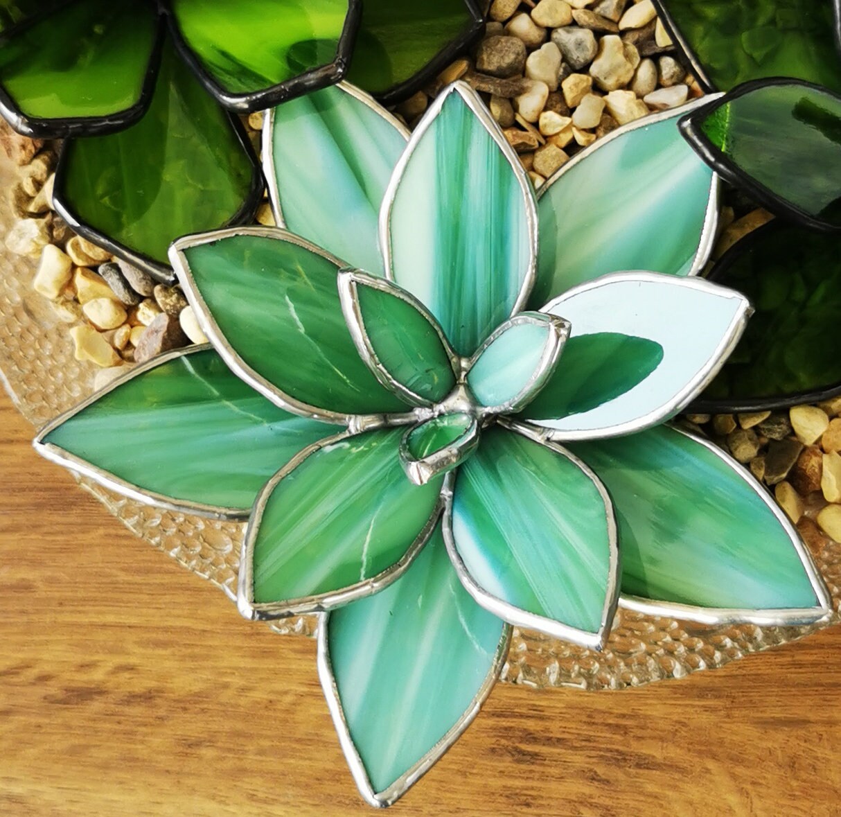 Stained Glass Succulent, Waterless Plant, Cactus, Succulent - Etsy