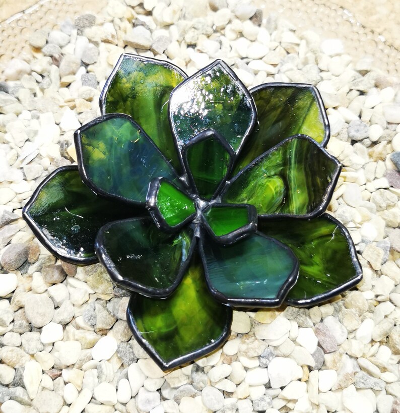 Stained Glass Succulent Waterless Plant Cactus Succulent - Etsy