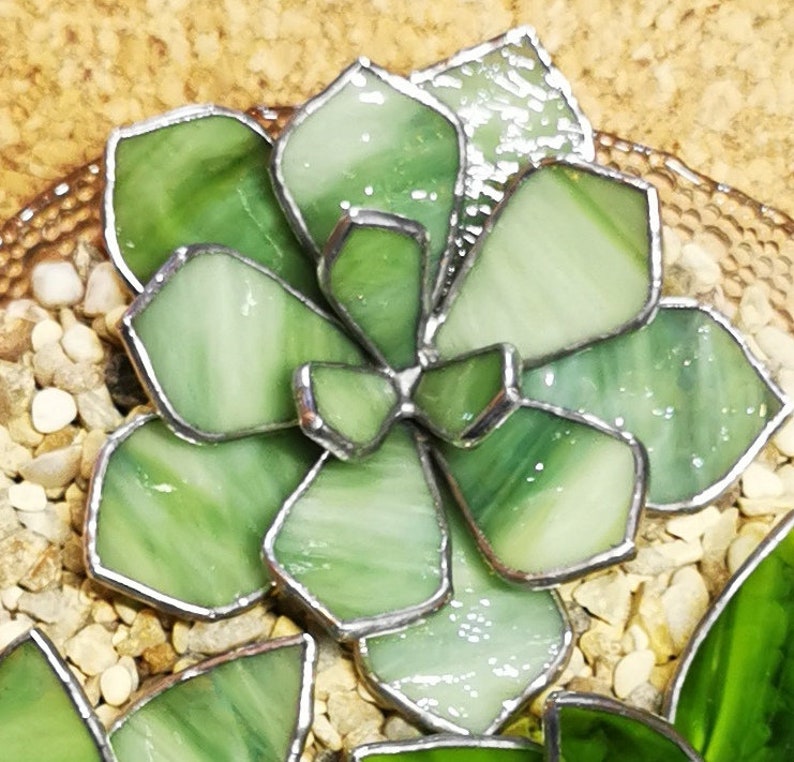 Stained Glass Succulent Waterless Plant Cactus Succulent - Etsy