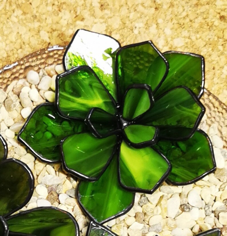 Stained Glass Succulent Waterless Plant Cactus Succulent - Etsy