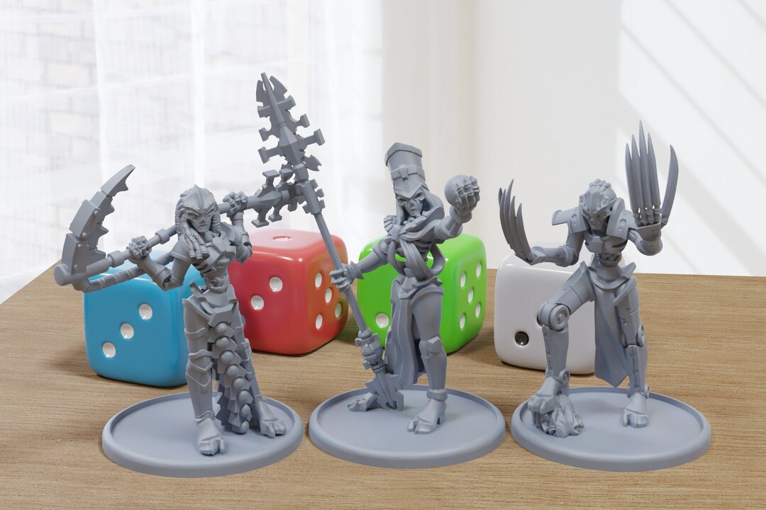 Space Cyborg Amazones - Proxy Minifigures for Miniature Games Like Dnd ...