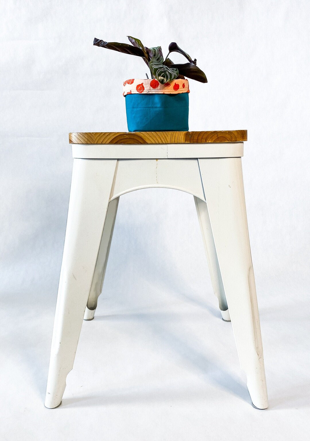 Plant Pants - Dress up Your Plant, Cover Your Naked Pots. Reversible ...