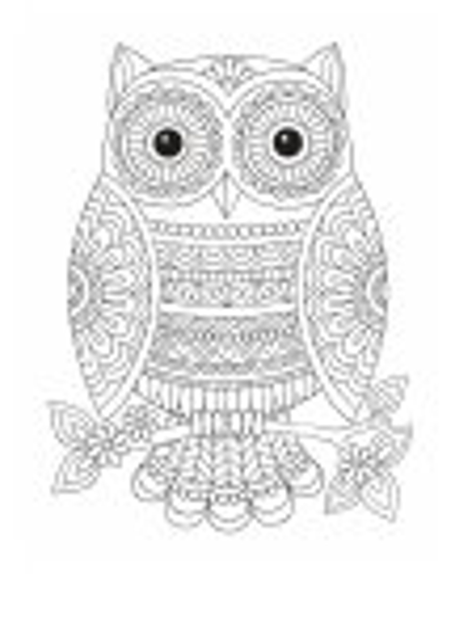 Printable Digital Coloring Book Pages for Grownups JPG/PDF - Etsy
