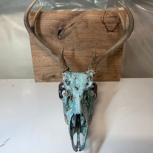 Buck Skull - Etsy