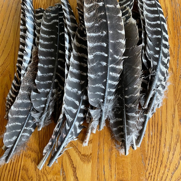 Turkey Wing Feathers - Etsy
