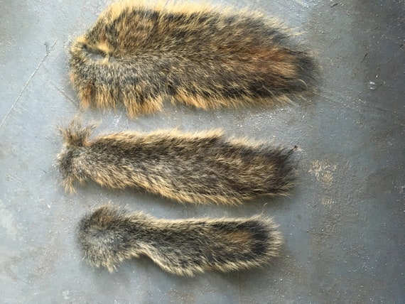 Squirrel Tail Pattern