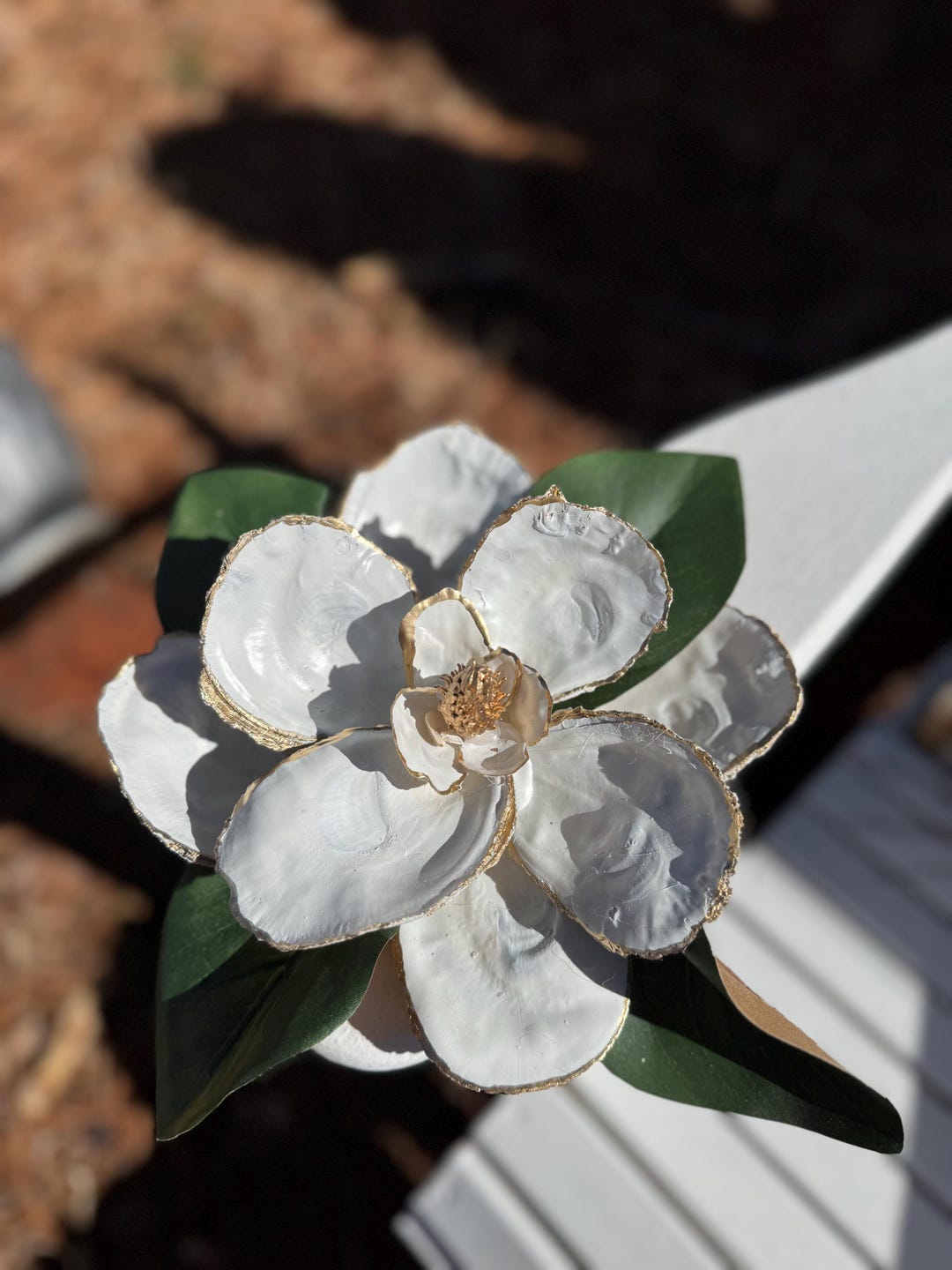 Magnolia Oyster Shell Magnolia on 5 Inch Round Tree Base - Etsy