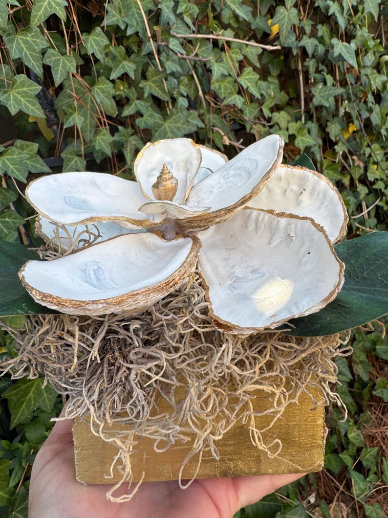 Magnolia Oyster Shell Magnolia on Wooden Block Base - Etsy
