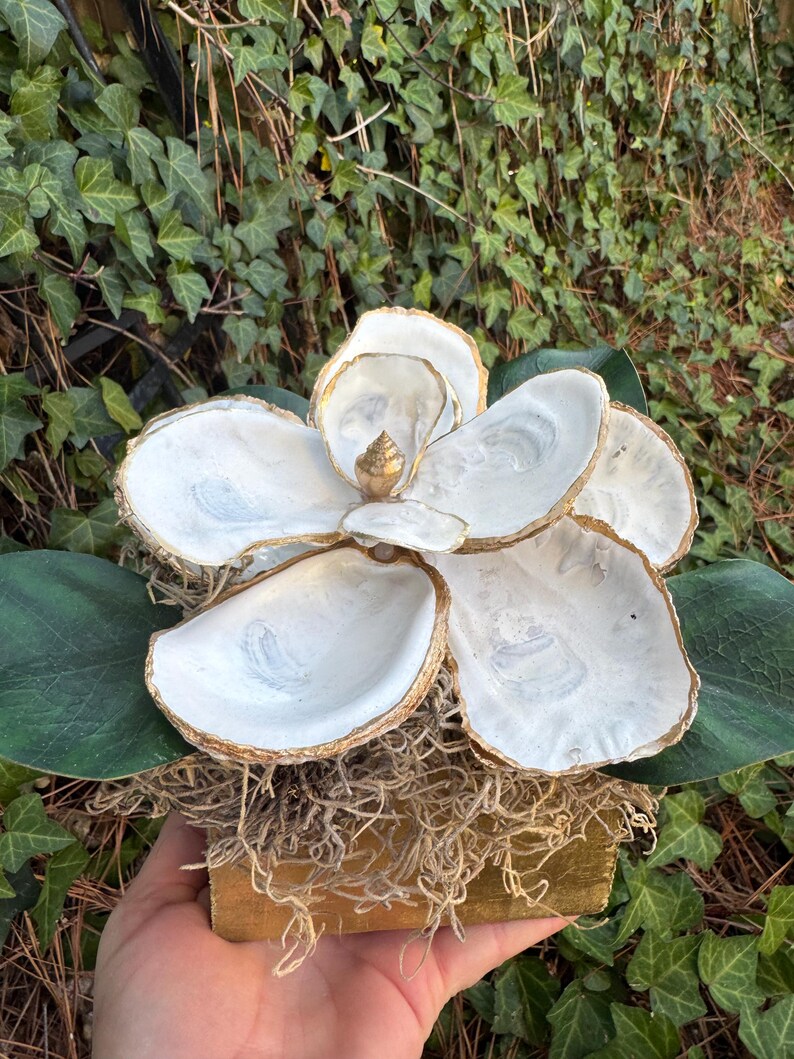 Magnolia Oyster Shell Magnolia on Wooden Block Base - Etsy