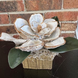 Magnolia Oyster Shell Magnolia on Wooden Block Base - Etsy