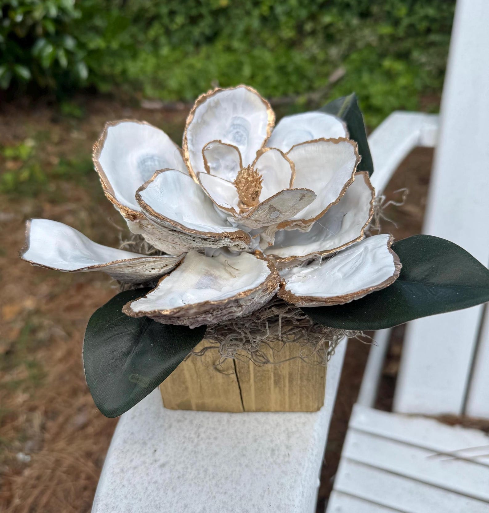 Magnolia Oyster Shell Magnolia on Wooden Block Base - Etsy
