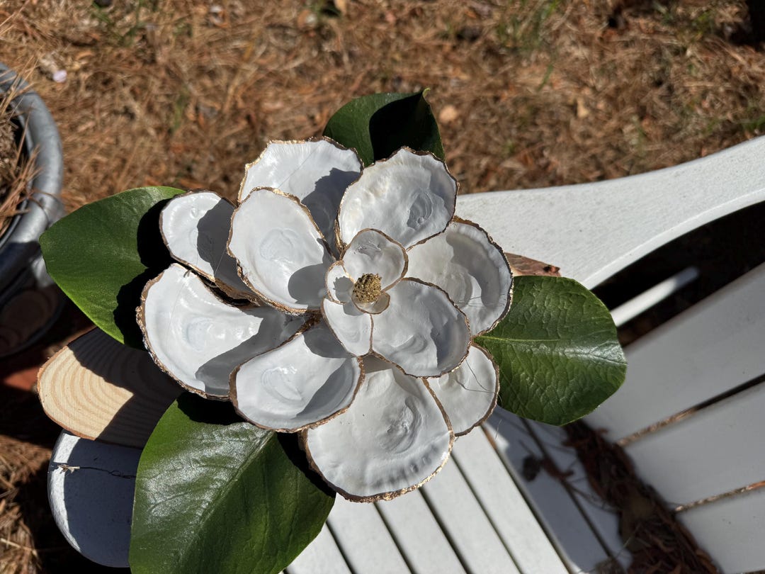 Oyster Shell Magnolia With Gold Trim on Tree Base - Etsy