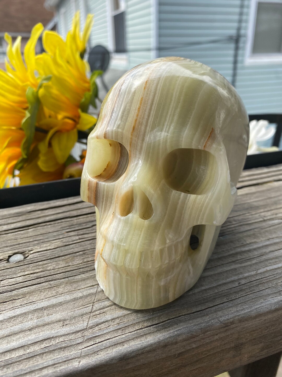 Green Banded Calcite Skull - Etsy