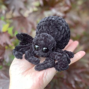 Webster the Spider No-sew Crochet Pattern - Etsy