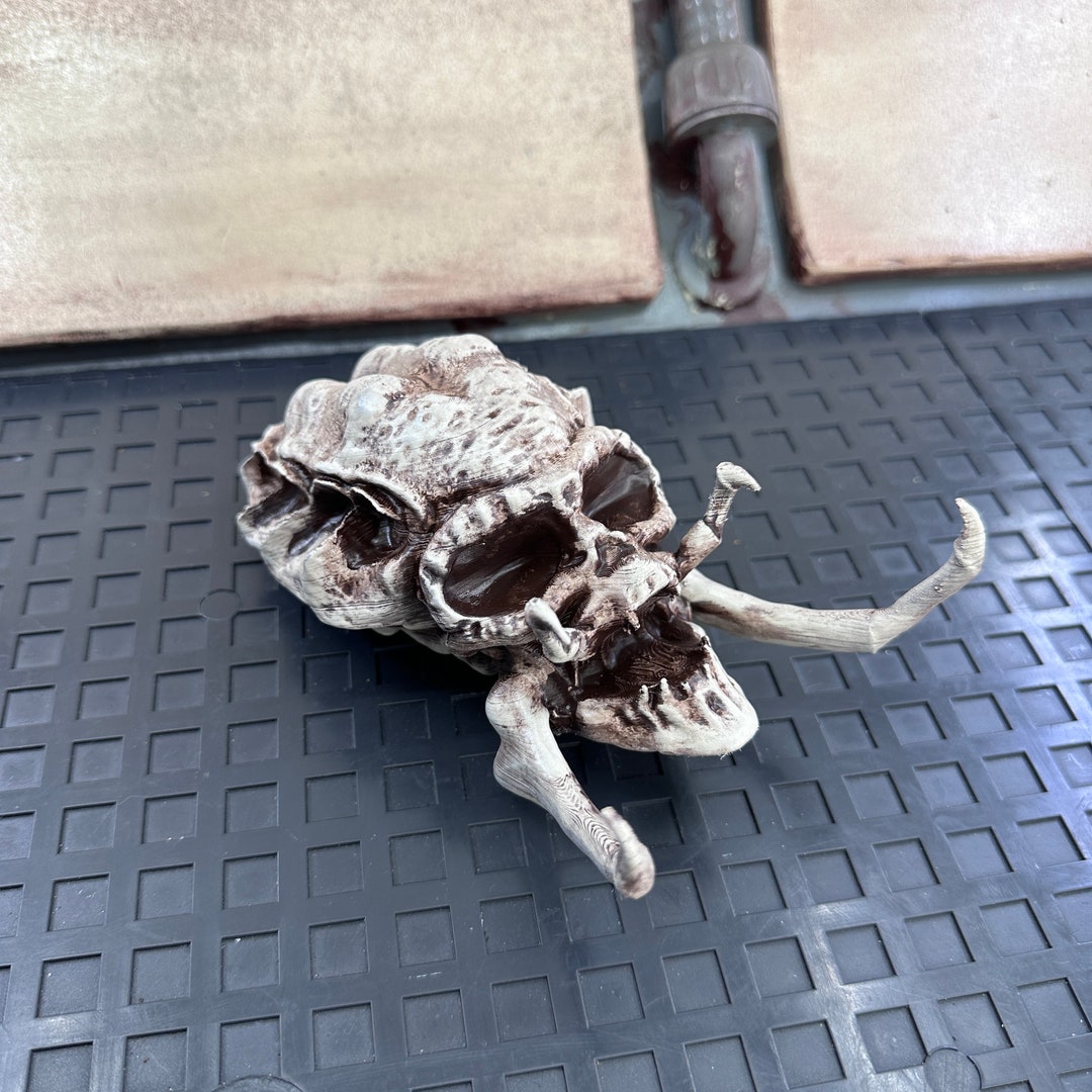 Predator Skull Prop Memorabalia Desk Display Piece - Etsy