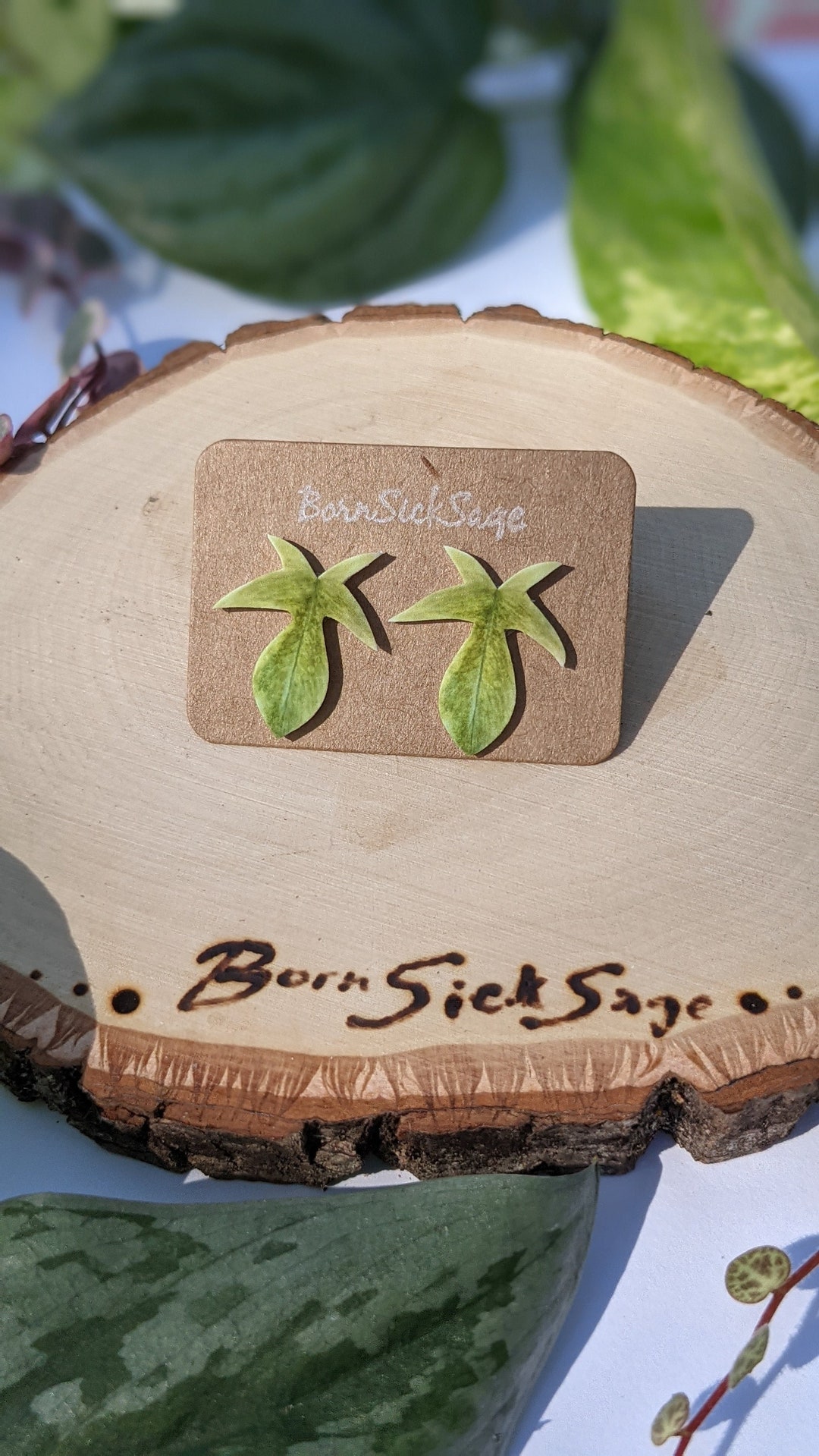 Philodendron Florida Ghost Studs / Mini Houseplant Earrings / Botanical ...