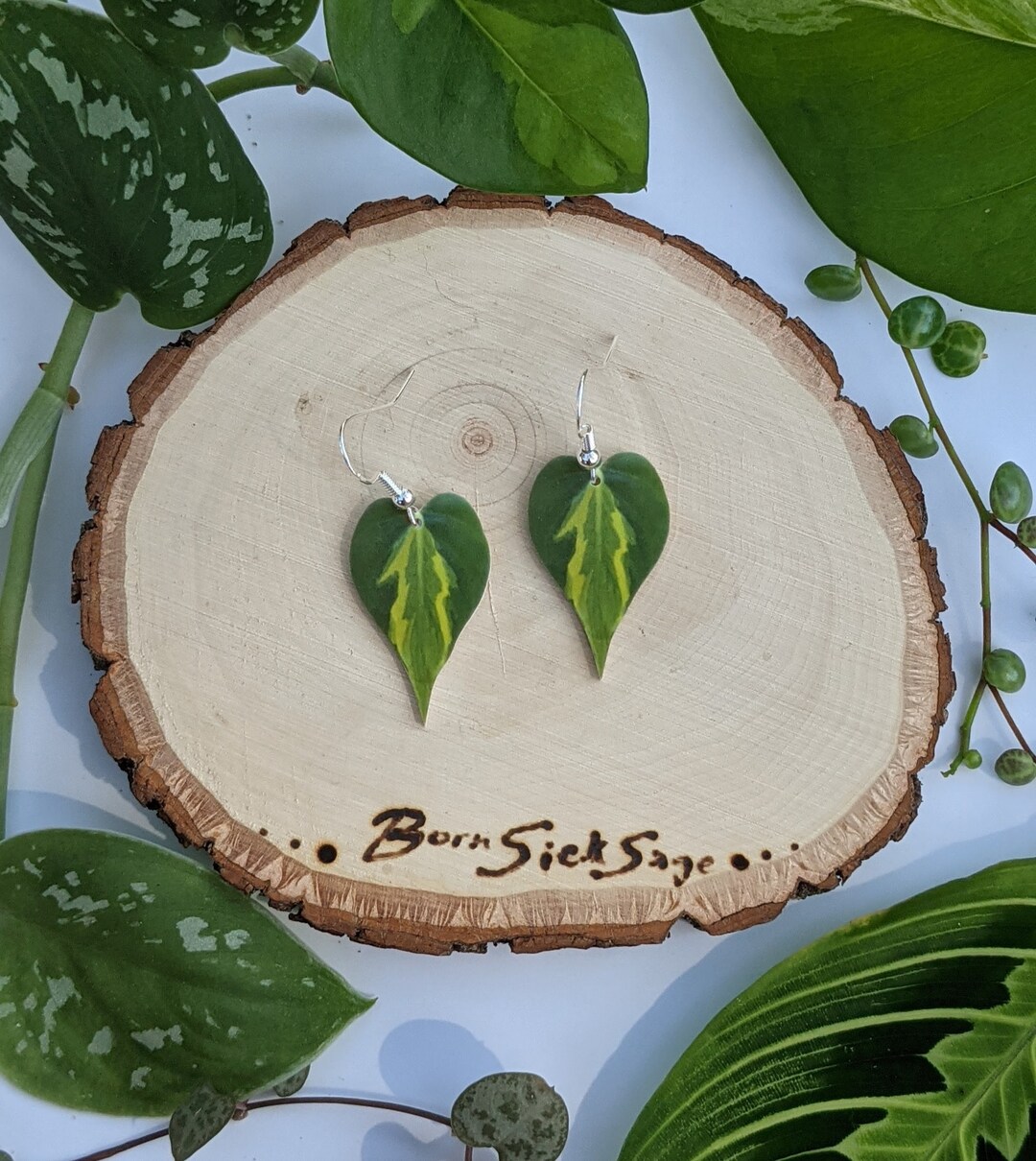 Philodendron Brasil Carnival Botanical Houseplant Earrings - Etsy