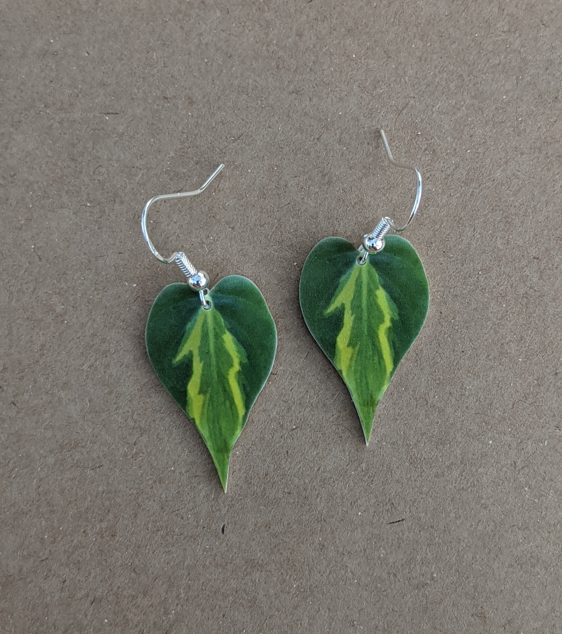 Philodendron Brasil Carnival Botanical Houseplant Earrings - Etsy