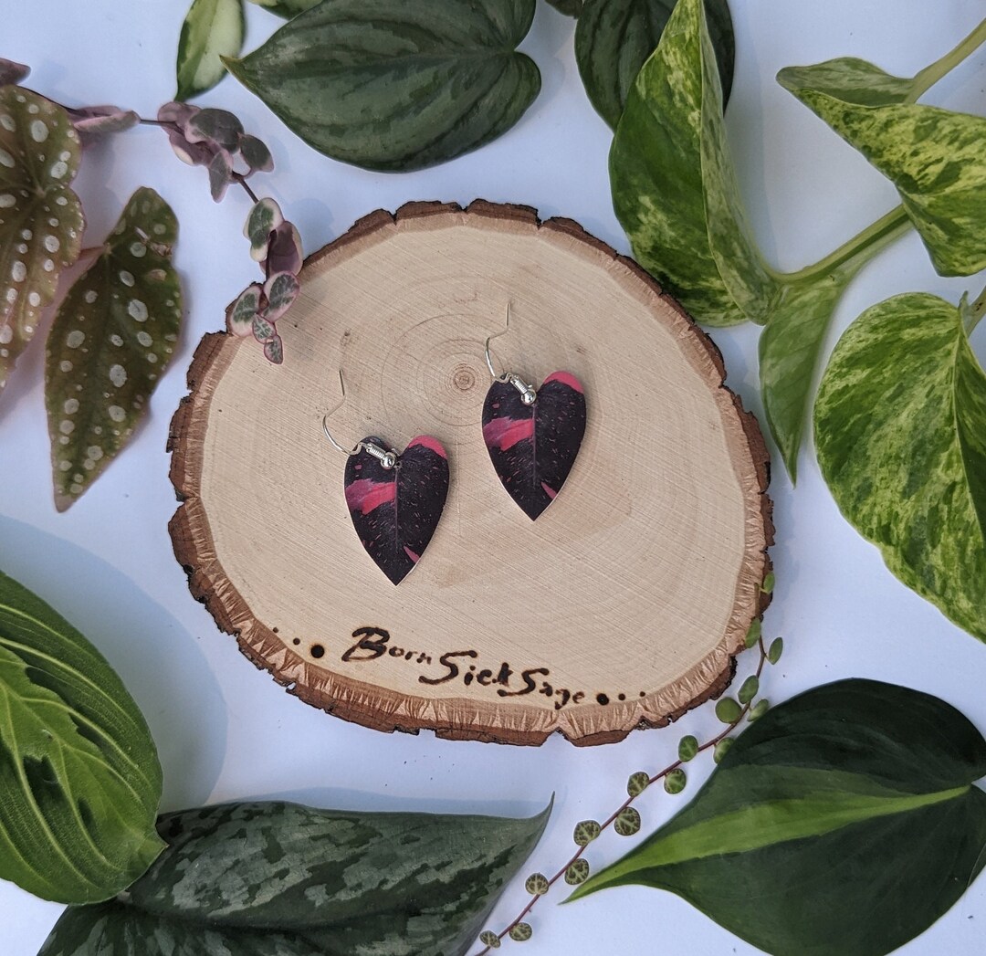 Philodendron Pink Princess Botanical Plant Leaf Earrings - Etsy