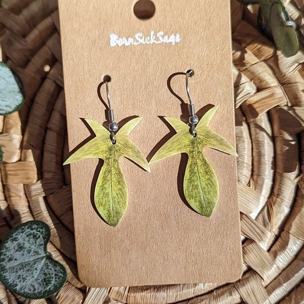 Botanical Earrings - Etsy