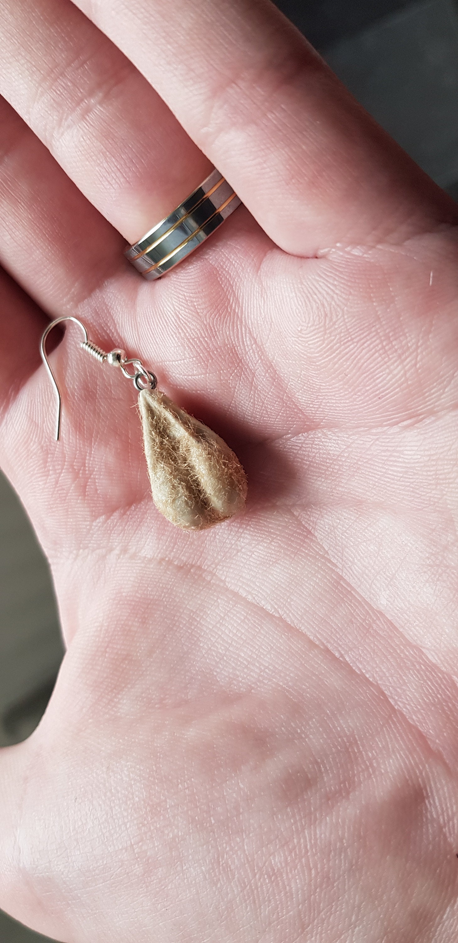 Dog Testicles Earrings Miniature - Etsy