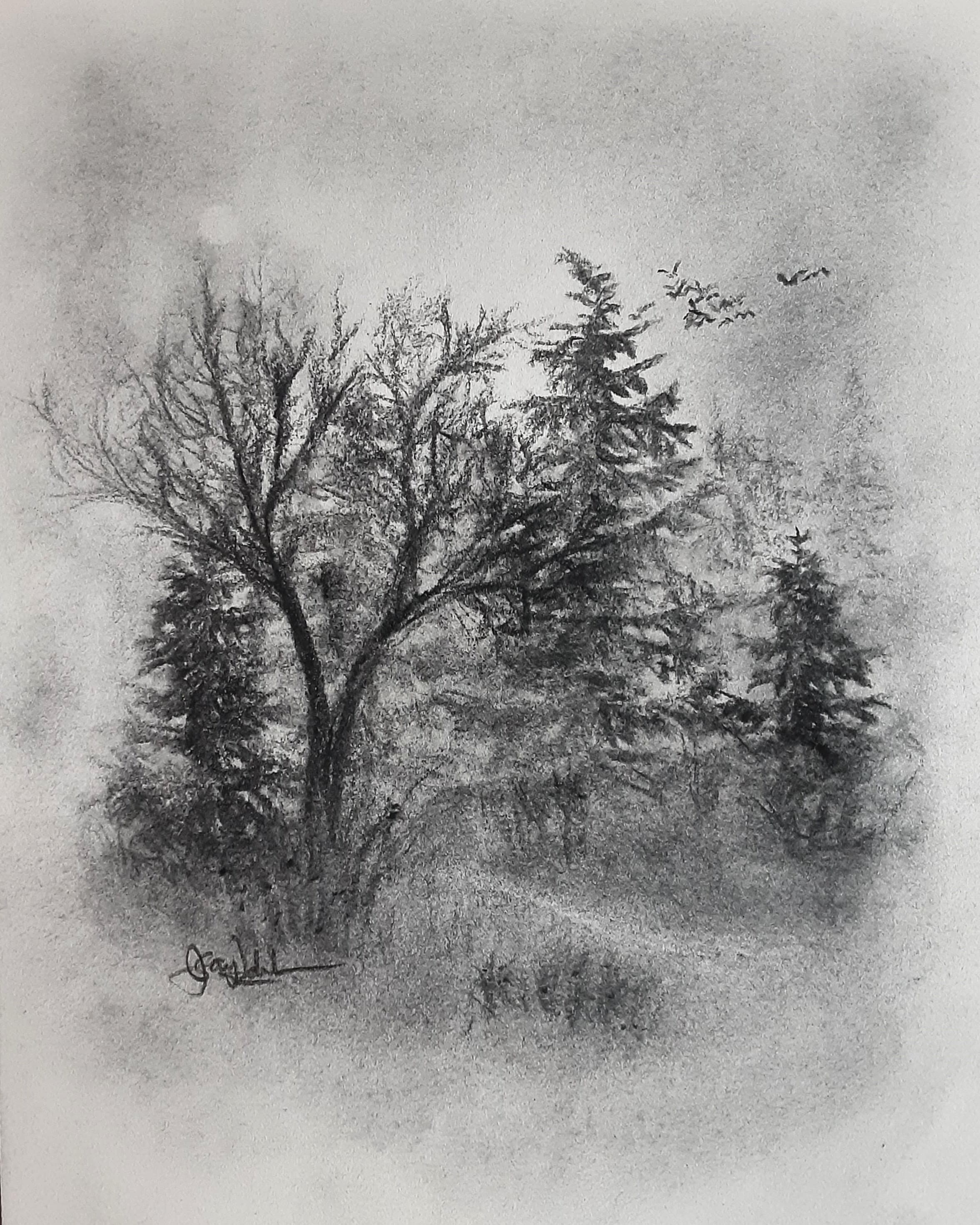 Just Wandering. Original Charcoal Forest Landscape Drawing. Charcoal ...