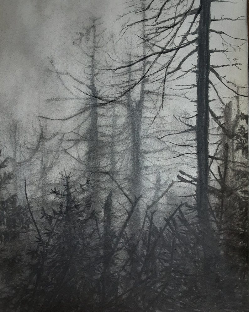 Deep in the Woods. Original Landscape Charcoal Drawing. Without Frame ...
