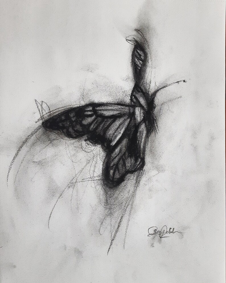 Original Butterfly Charcoal Drawing. - Etsy