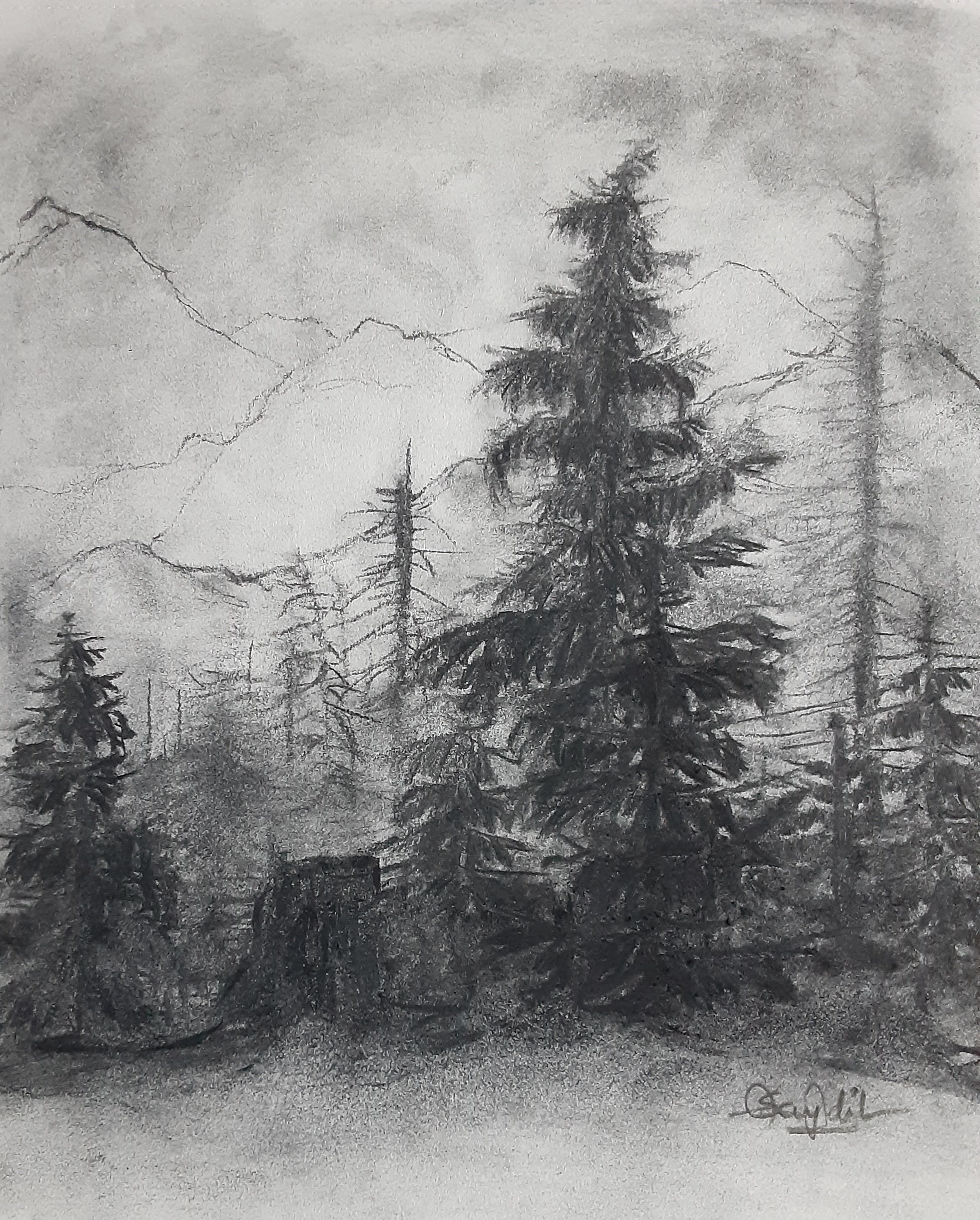 Original Landscape Charcoal Drawing. - Etsy