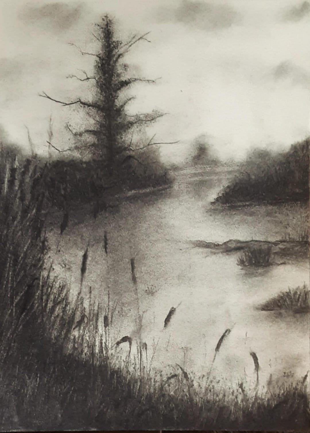 Original Landscape Charcoal Drawing: Rustic Bog Gallery Wall Art - Etsy