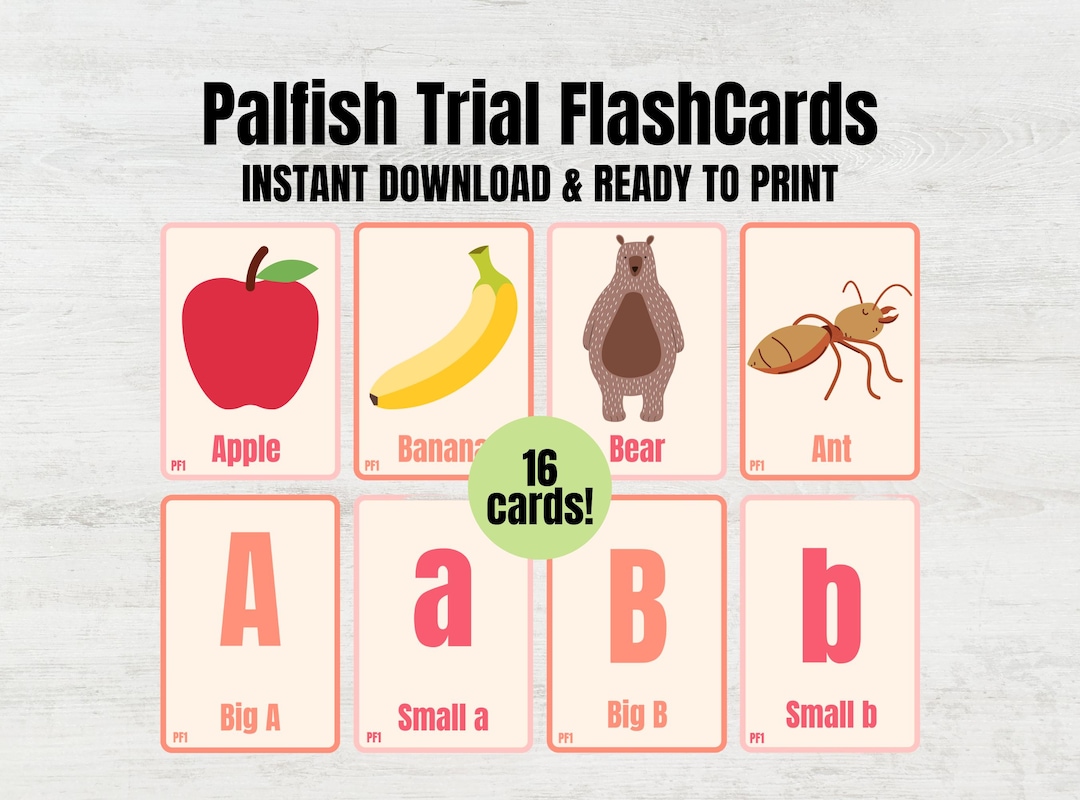 Palfish Props | 16 Printable Teacher Flashcards for Palfish Trial ...
