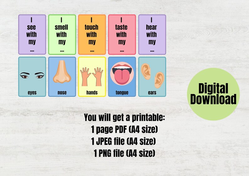 8 Printable Senses Flashcards Printable ESL Props, Flashcards for Kids ...
