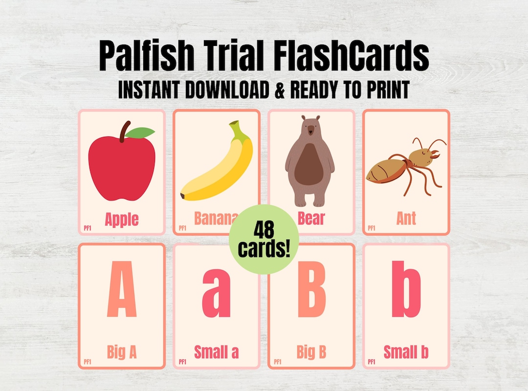 Palfish Props | 48 Printable Teacher Flashcards for Palfish Trial ...