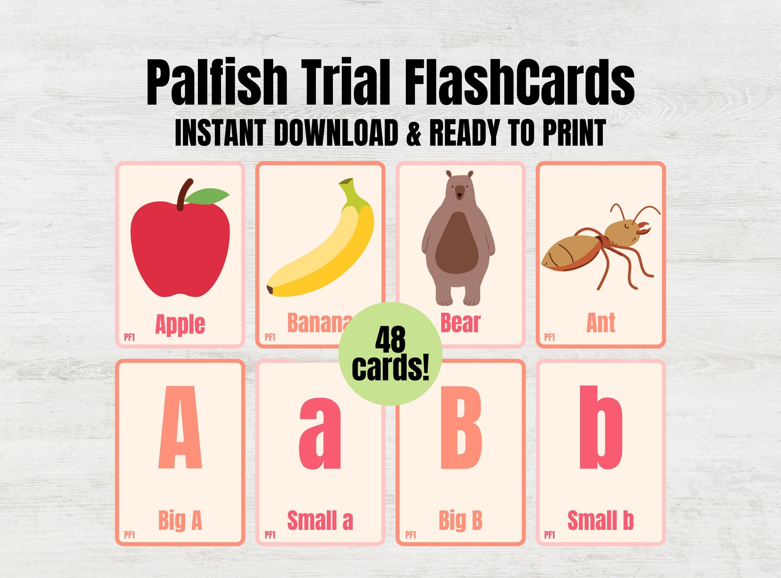 Palfish Props | 48 Printable Teacher Flashcards for Palfish Trial ...