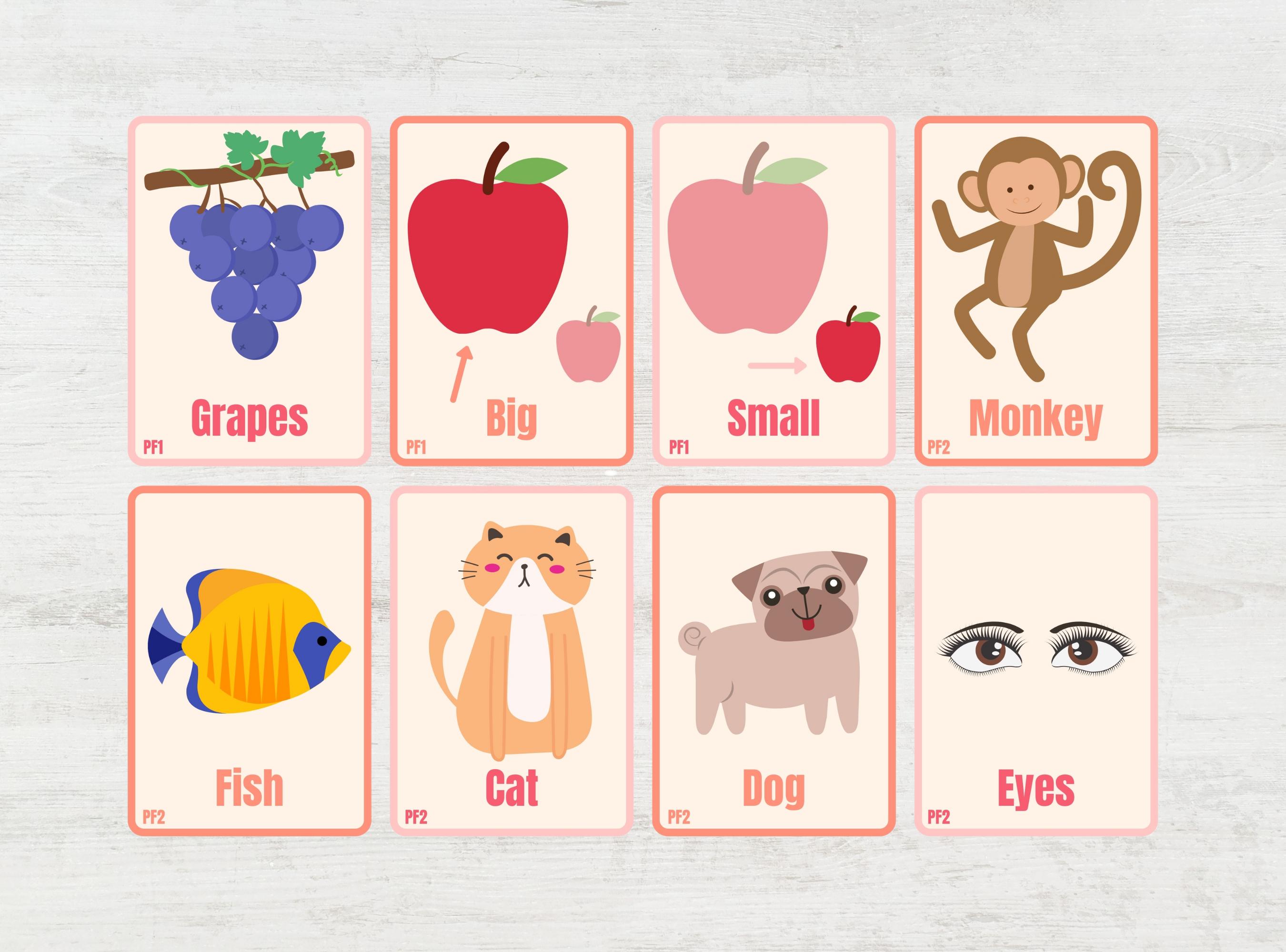 Palfish Props | 48 Printable Teacher Flashcards for Palfish Trial ...