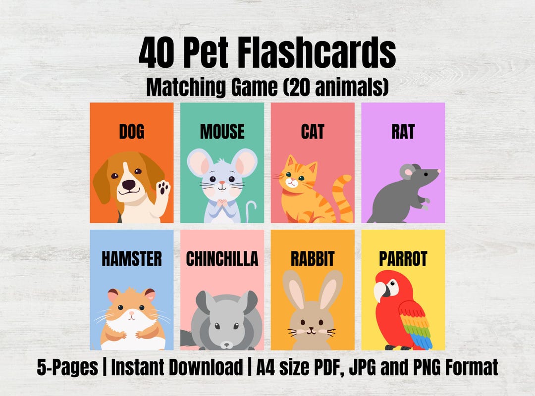 Pet Flashcards Matching Game | Animal Flashcards for Kids, Homeschool ...