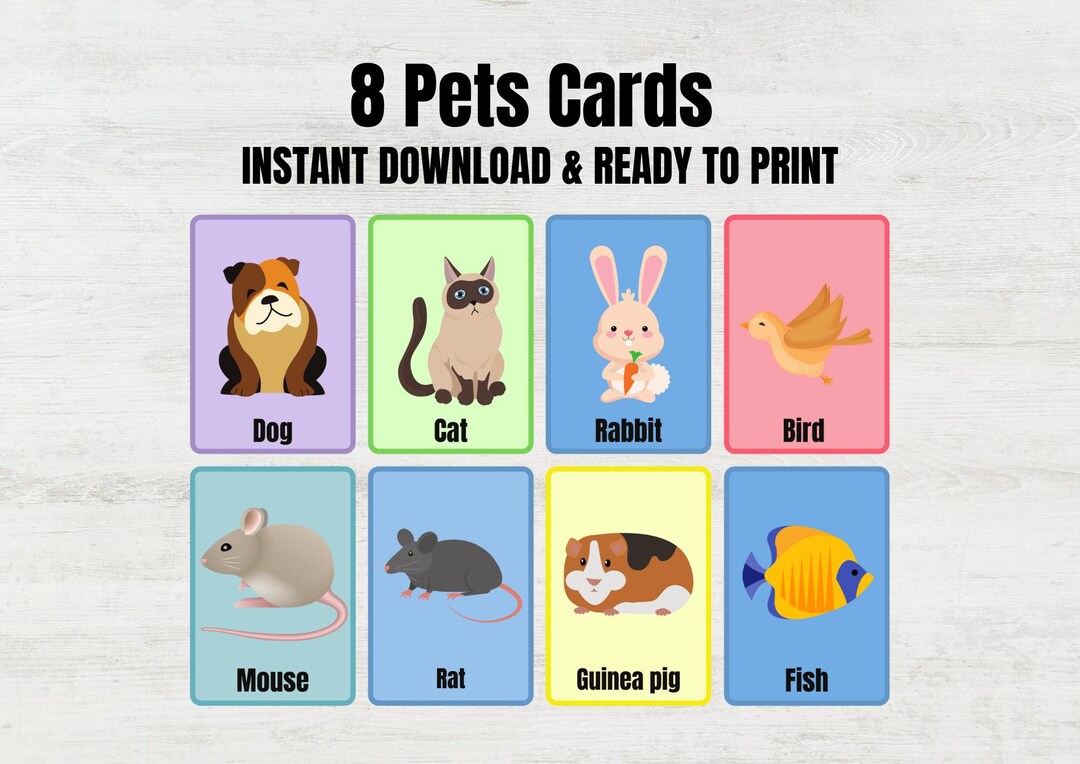 8 Pets Flashcards Pets Cards, Printable ESL Props, Flashcards for Kids ...