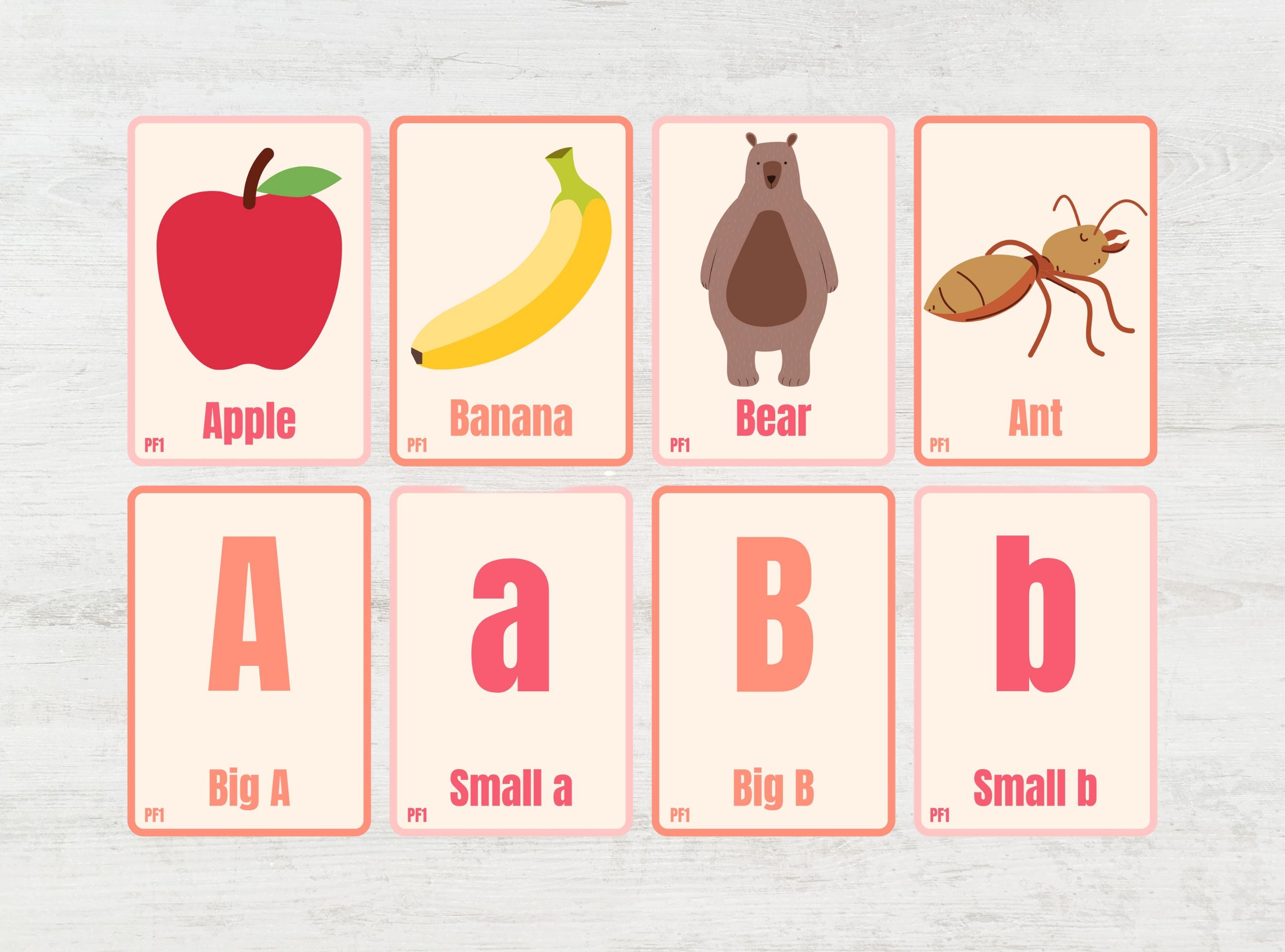 Palfish Props | 16 Printable Teacher Flashcards for Palfish Trial ...