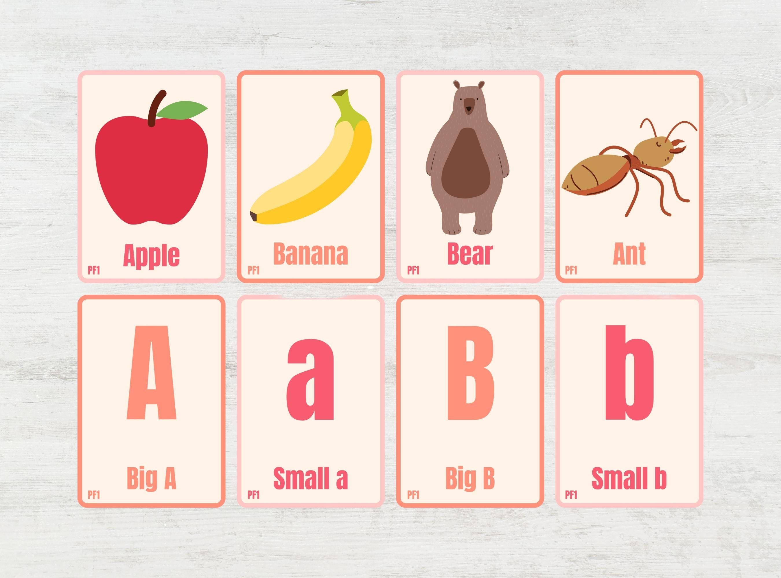 Palfish Props | 48 Printable Teacher Flashcards for Palfish Trial ...